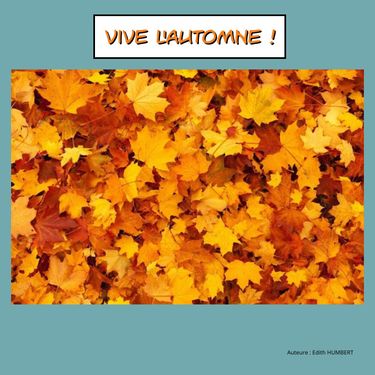 Book Creator | Vive l'automne