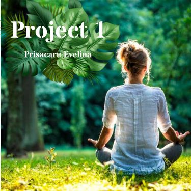 Book Creator | project 1