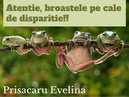 Book Creator | broastele