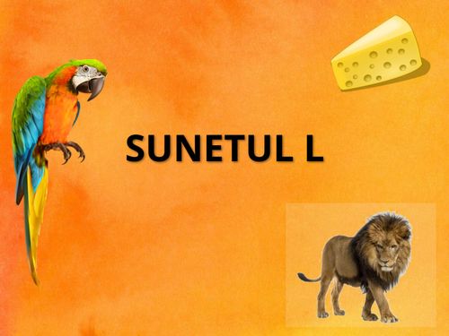 Book Creator | SUNETUL L