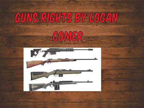 Book Creator | gun rights