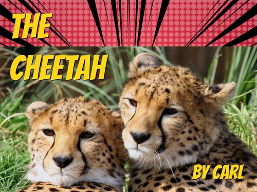 Book Creator | The Cheetah
