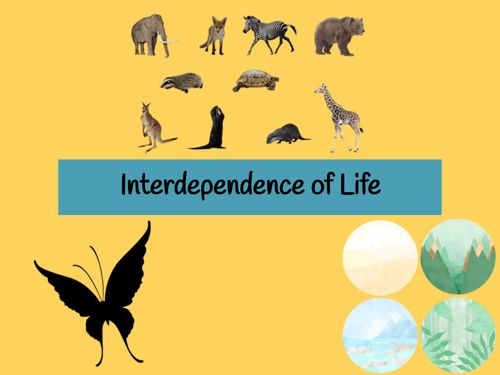 Book Creator | Interdependence of Life
