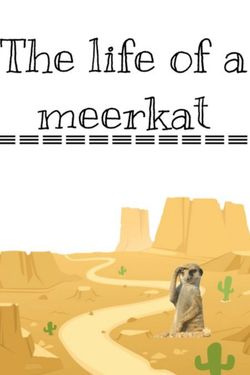 Book Creator | meerkat book