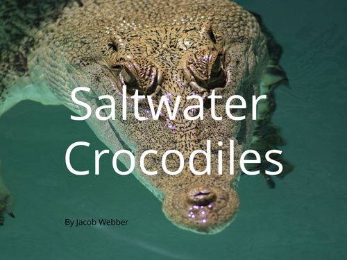 Book Creator | Saltwater Crocodiles