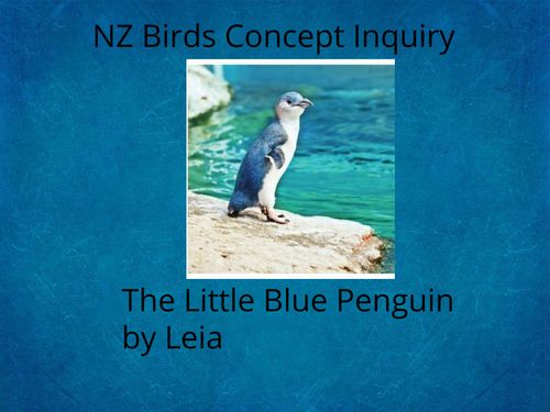 Book Creator | The Little Blue Penguin