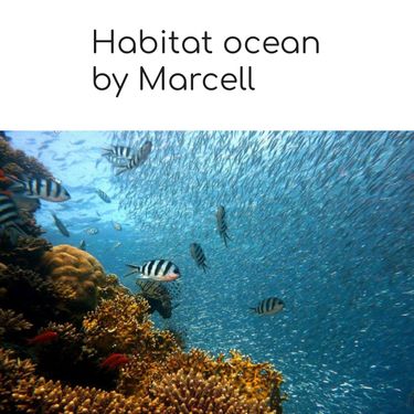 Book Creator | Ocean