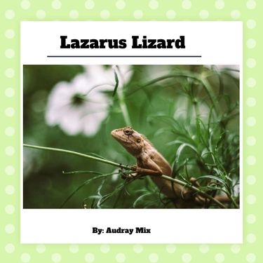 Book Creator | Lazarus Lizard
