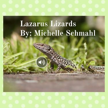 Book Creator | Lazarus Lizards
