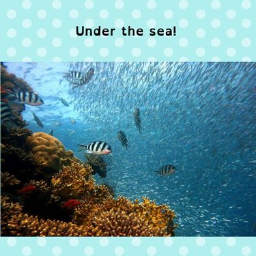 Book Creator | Under the Sea