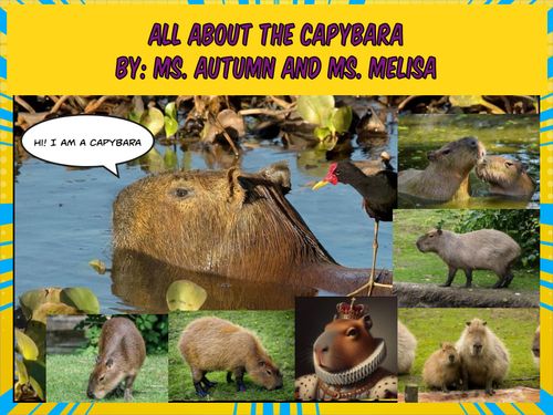 Book Creator | Animal Adaptations, Traits, Life cycles project - Template