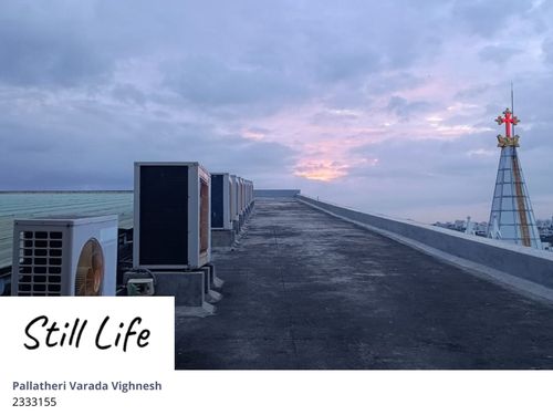 Book Creator | Still Life