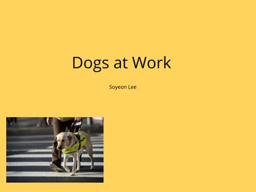 Book Creator | Dogs At Work