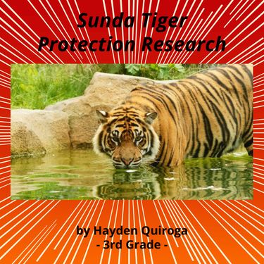 Book Creator | Sunda Tiger Protection Research