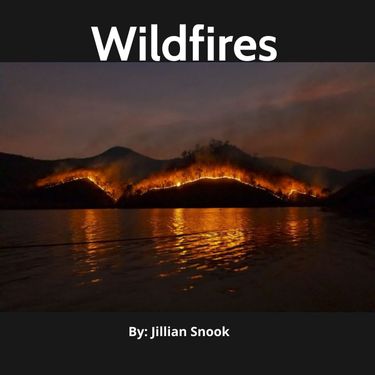 Book Creator | Wildfires