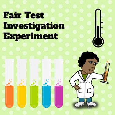 Book Creator | Fair Test Investigation