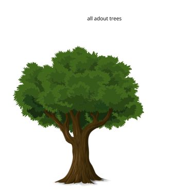 Book Creator | all adout tree family