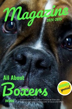 Book Creator | All About Boxers