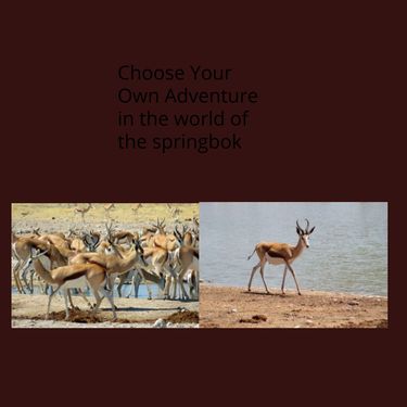 Book Creator | Bobby the Springbok