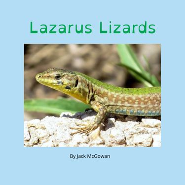 Book Creator | Lazarus Lizards
