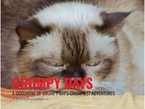 Book Creator | grumpy days