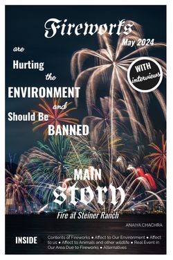 Book Creator | Fireworks