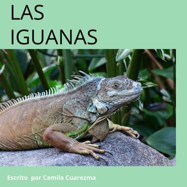 Book Creator | Las Iguanas