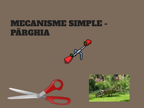 Book Creator | parghia