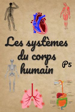 Book Creator | Les systèmes du corps humain