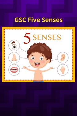 Book Creator | GSC Five Senses 2022/2023