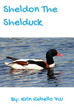 Book Creator | Sheldon the Shelduck