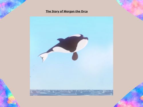 Book Creator | The Story of Morgan the Orca