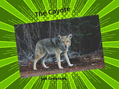Book Creator | The Coyote
