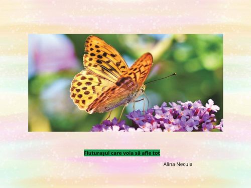 Book Creator | Fluturasul care voia sa afle tot