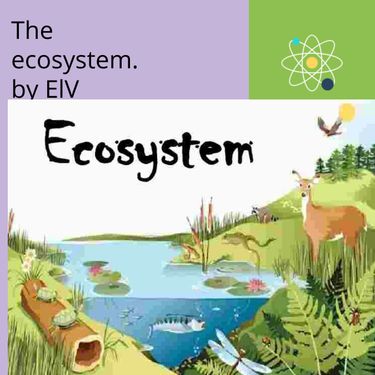Book Creator | The Ecosystem