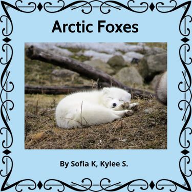 Book Creator | Arctic Foxes