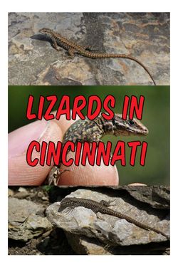 Book Creator | Lizards in Cincinnati