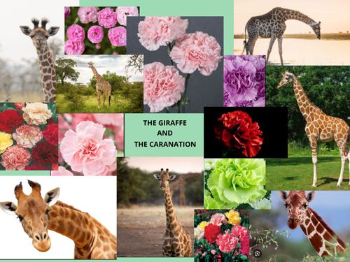 Book Creator | Plant and Animal Adaptation Research