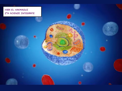 Book Creator | SCIENZE INTEGRATE 2A