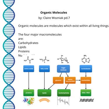Book Creator | macromolecules