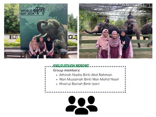 Book Creator | FIELD STUDY REPORT: KUALA GANDAH ELEPHANT CONSERVATION ...