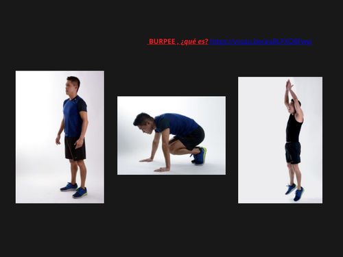 Book Creator | BURPEES
