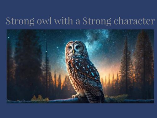 Book Creator | Strong owl with a Strong character