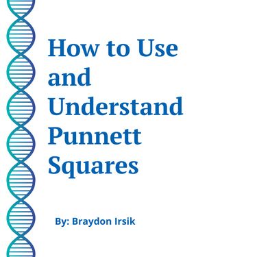 Book Creator | How to Use and Understand Punnett Squares
