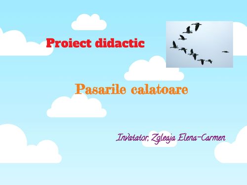 Book Creator | Pasarile calatoare