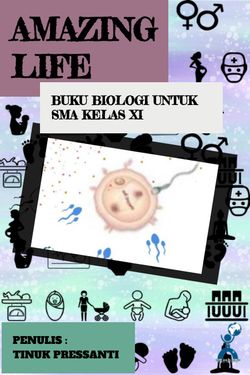 Book Creator | amazing life