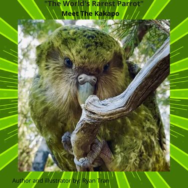 Book Creator | Kakapo
