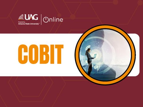 Book Creator | COBIT