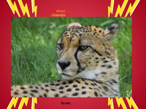Book Creator | All About Cheetahs