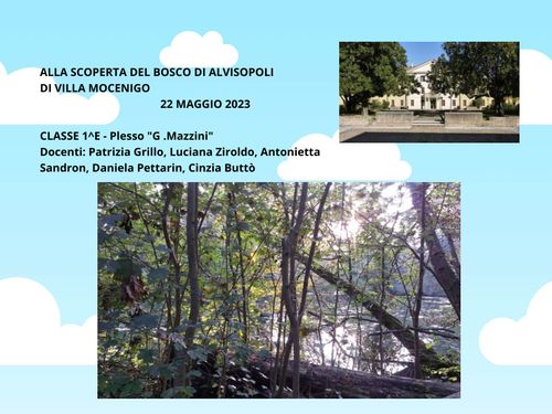 Book Creator | ALLA SCOPERTA DEL BOSCO DI ALVISOPOLI DI VILLA MOCENIGO